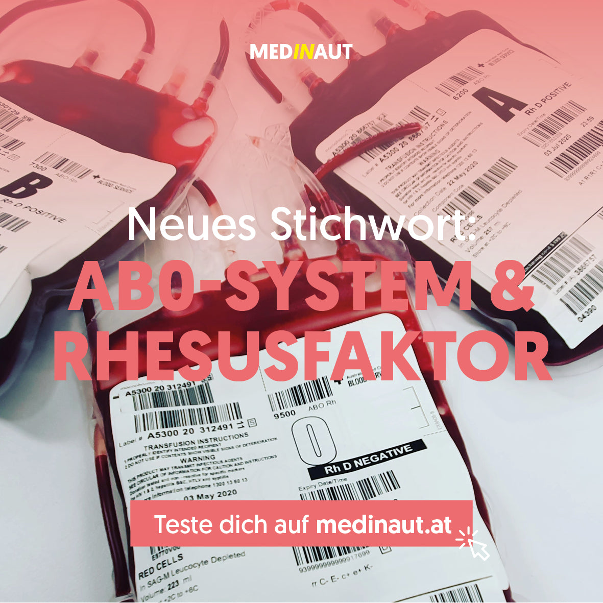 AB0-System & Rhesusfaktor – MEDINAUT